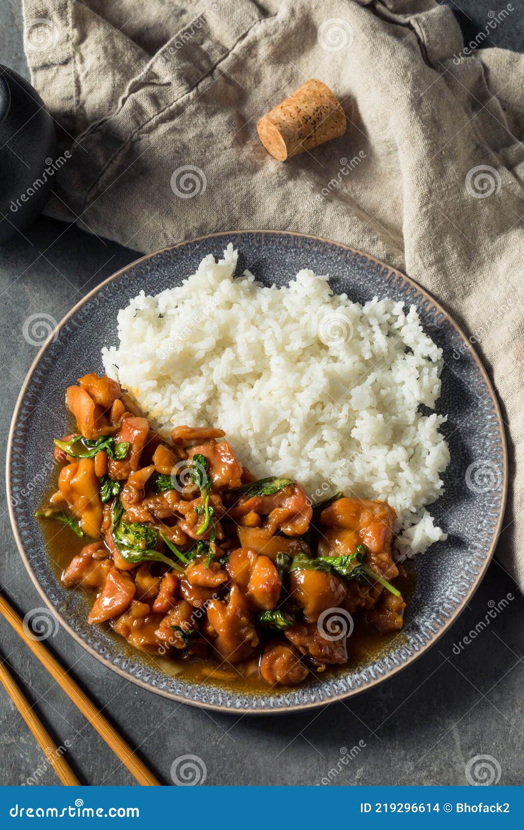 Homemade Taiwanese Lu Rou Fan Braised Pork And Rice Stock Image ...