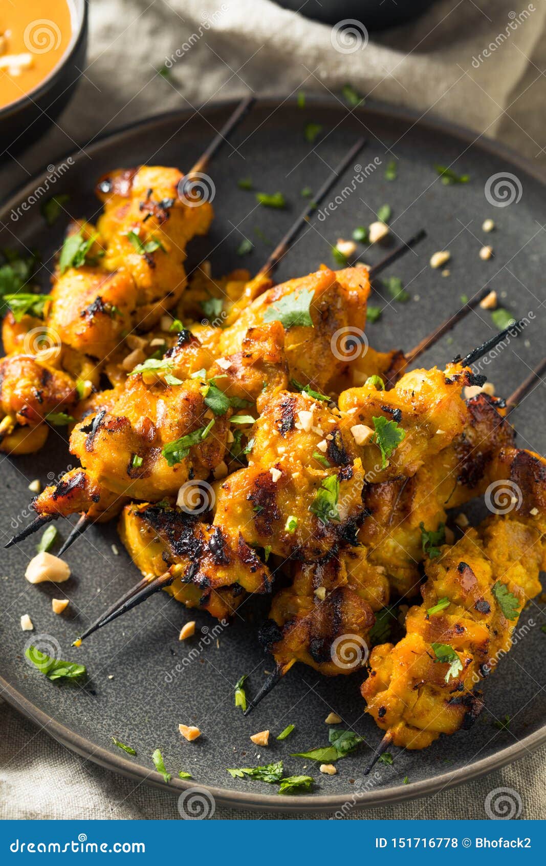 Homemade Thai Chicken Satay Stock Photo - Image of asian, roasted ...
