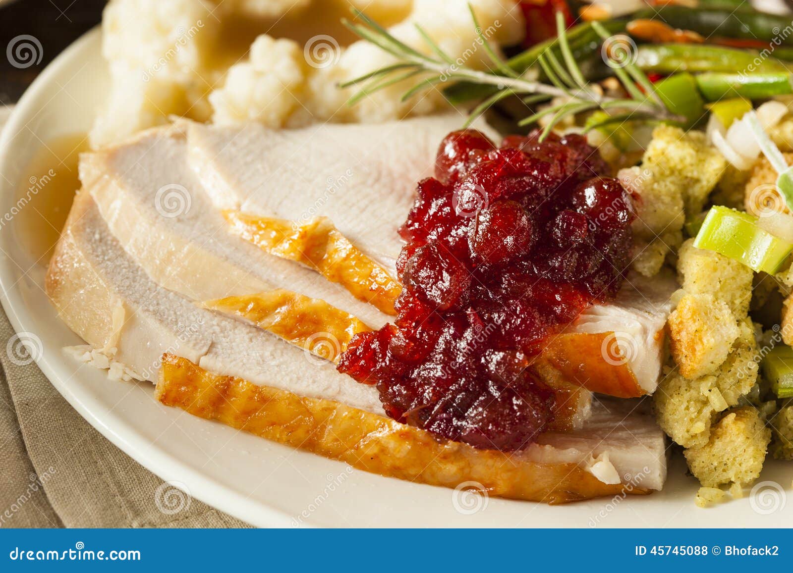Homemade Thanksgiving Turkey on a Plate Stock Photo - Image of gravy ...