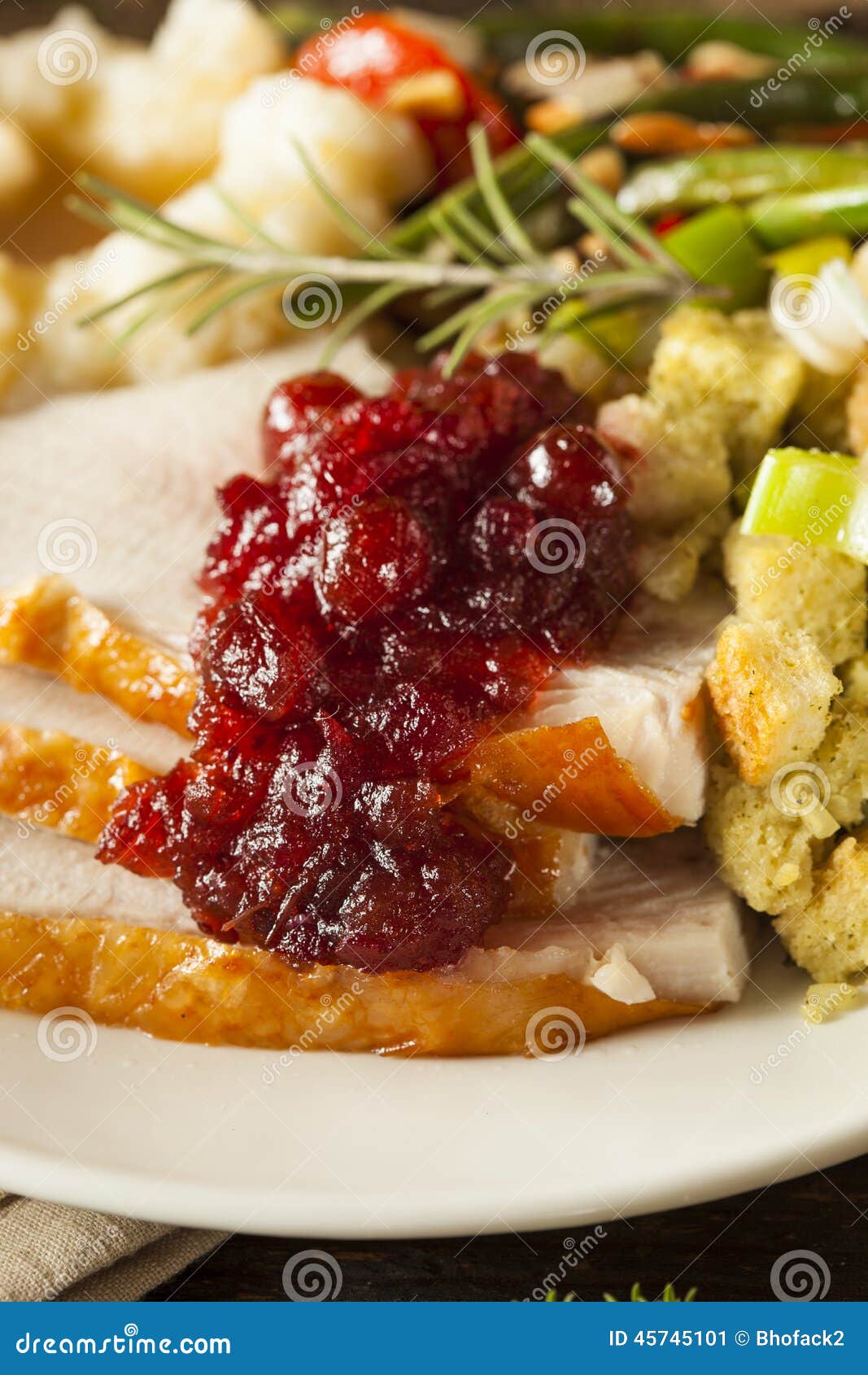 Homemade Thanksgiving Turkey on a Plate Stock Image - Image of harvest ...