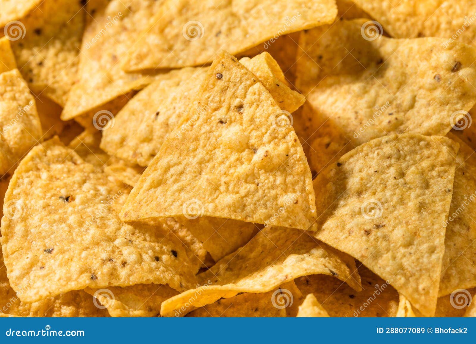 Homemade Triangle Tortilla Corn Chips Stock Image - Image of snack ...
