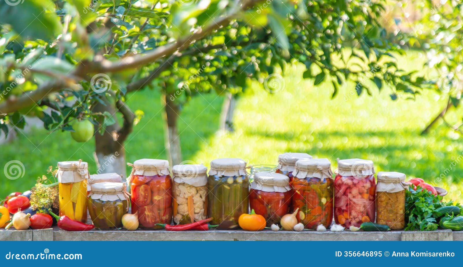 Homemade Vegetable Preserves on a Table in the Garden Stock Image ...