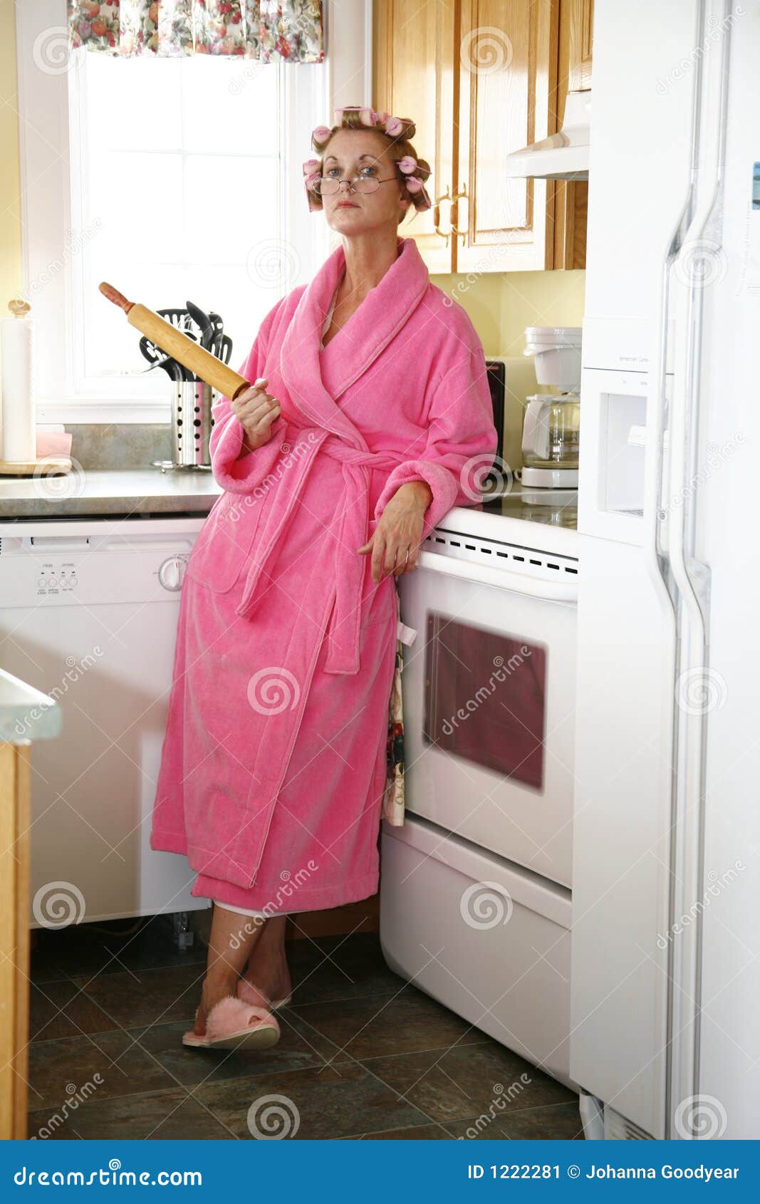 Homemaker stock image. Image of pink, american, humorous - 1222281
