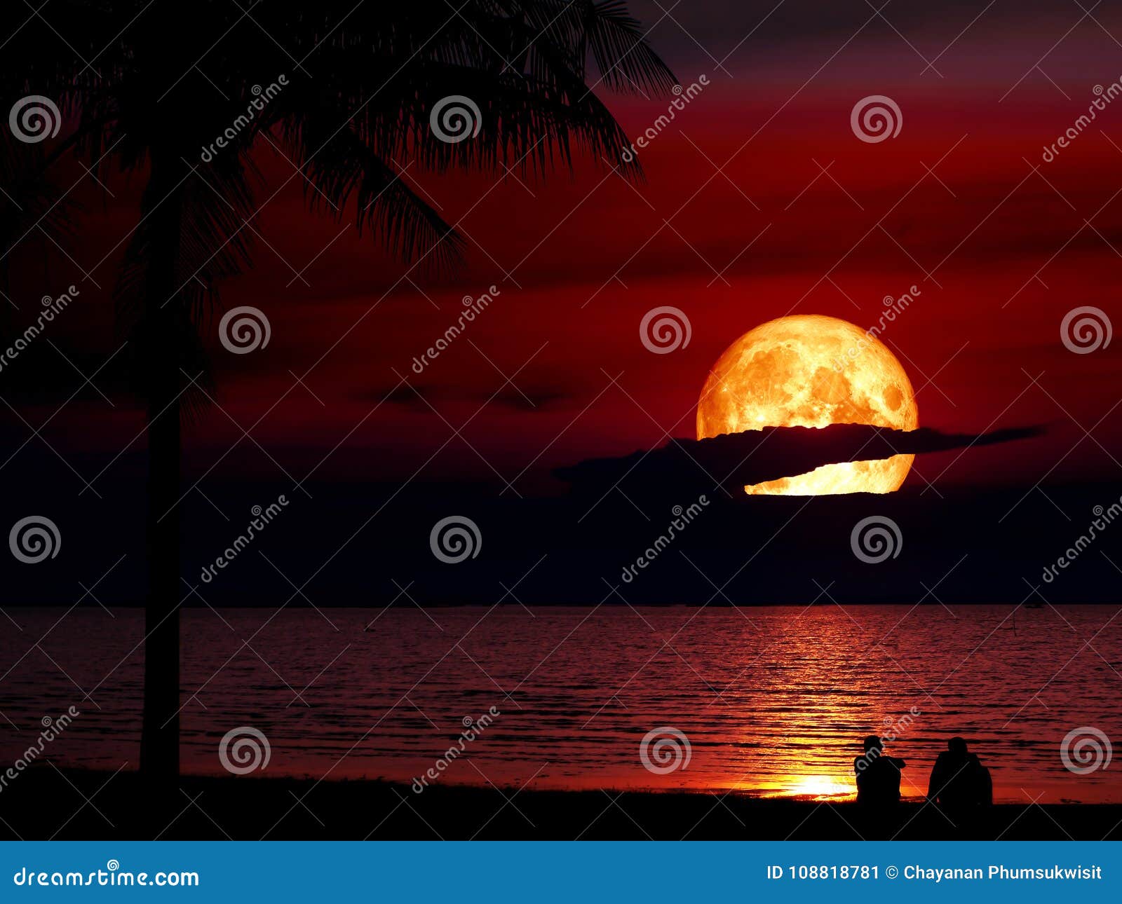 Homens Super Do Coco Da Silhueta Da Lua Do Sangue Azul Que Olham a Lua Imagem de Stock - Imagem ...