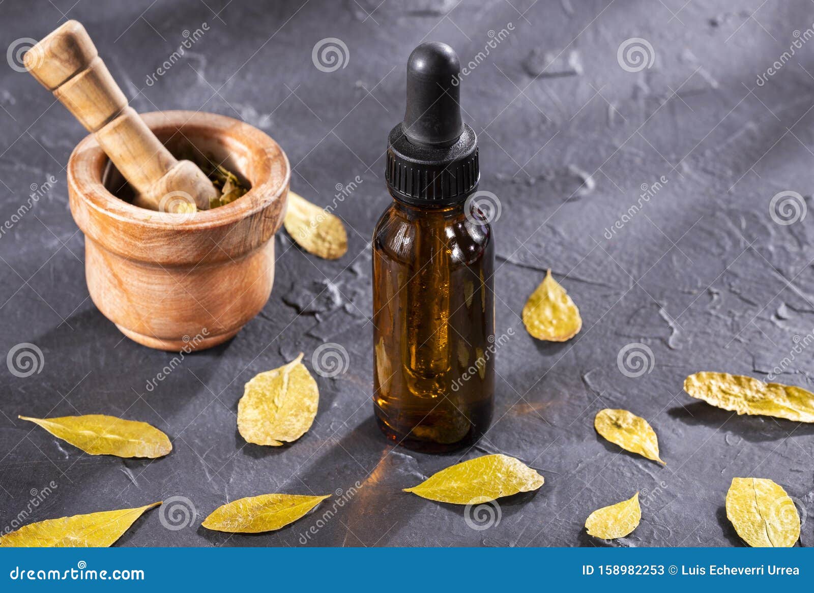 Erythroxylum Coca - Homeopathic Coca Drops Stock Image - Image of ...