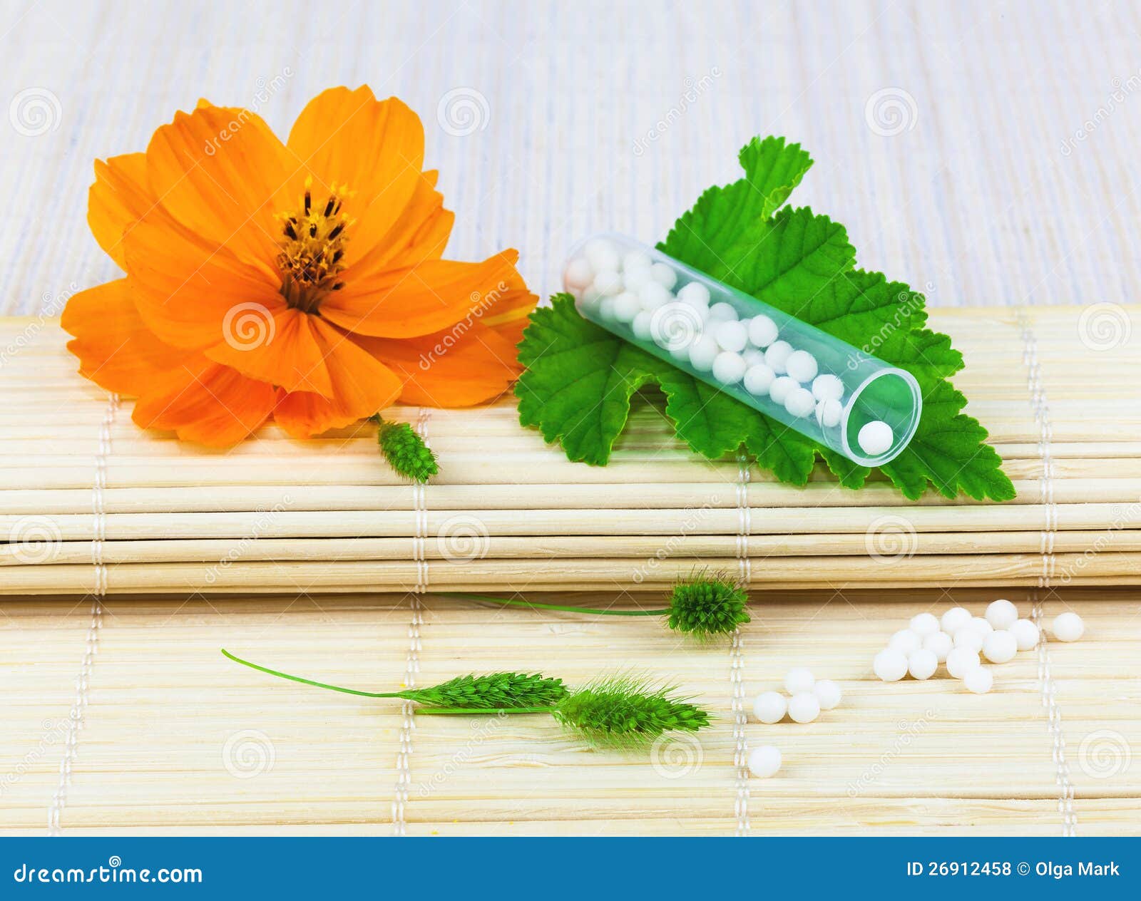 Homeopathic Medication on the Leaf with Flower Stock Photo - Image of ...
