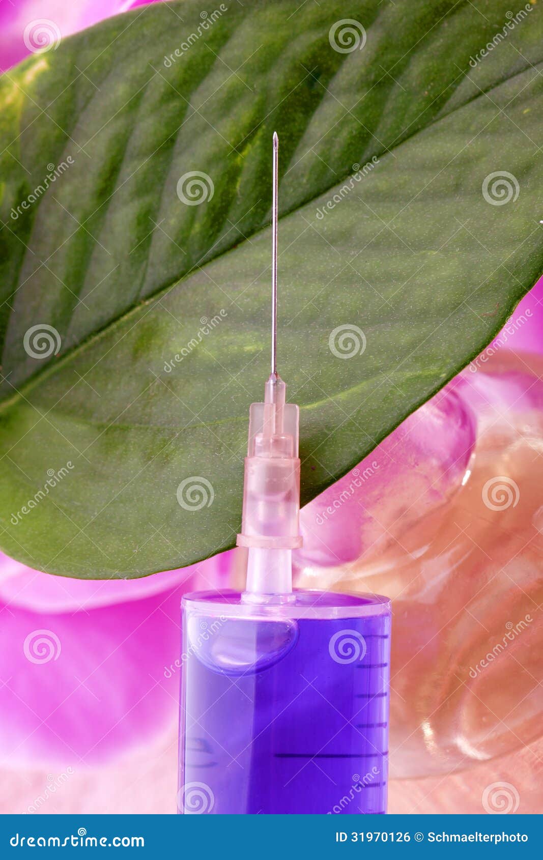 Homeopathic Natural Beauty Injection Stock Photo - Image of treatment ...