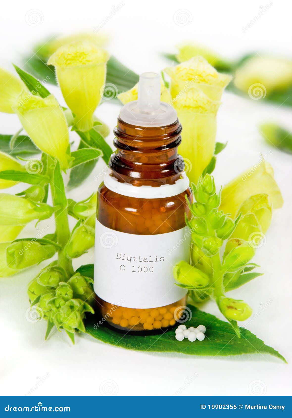Homeopathy stock photo. Image of medical, foxgloves, doctor - 19902356