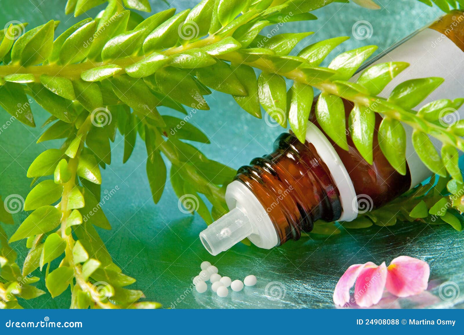 Homeopathy stock photo. Image of globule, organic, chives - 24908088