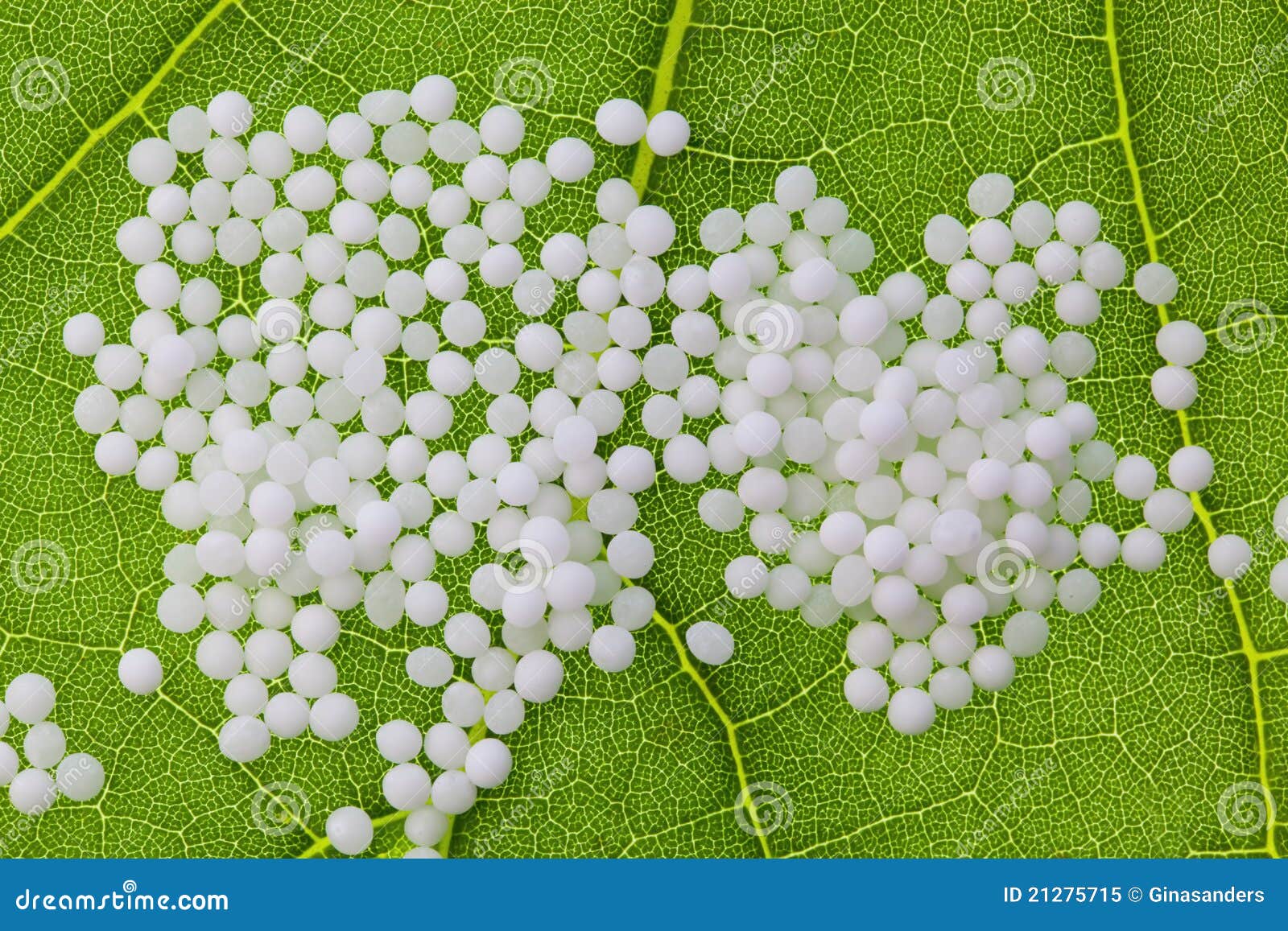 Homeopathy. Globules As Alternative Medicine Stock Image - Image of ...