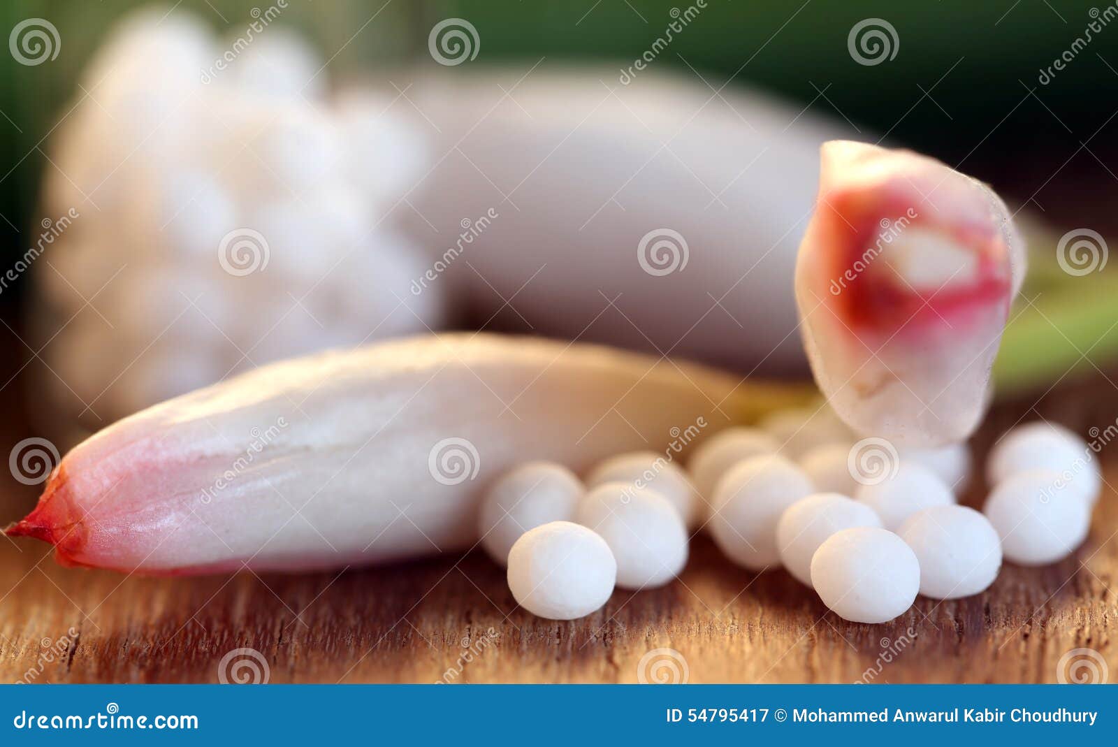 Homeopathy Globules with Herbal Flower Stock Image - Image of medical ...