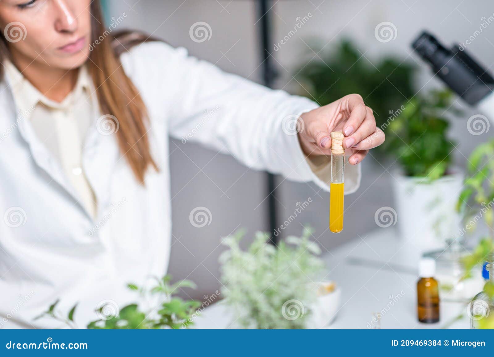 Homeopathy lab stock photo. Image of herb, laboratory - 209469384