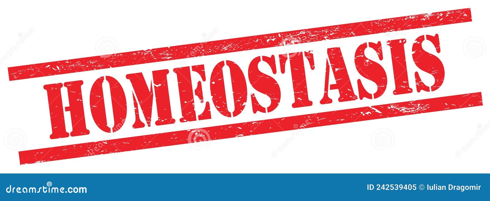 HOMEOSTASIS Text on Red Grungy Rectangle Stamp Stock Illustration ...