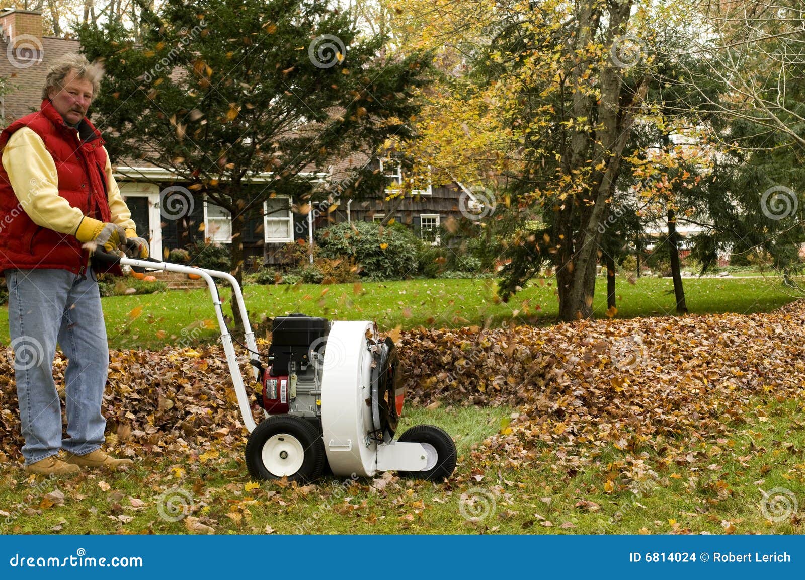 Homeowner Using Professional Leaf Blower Stock Photo - Image of ...