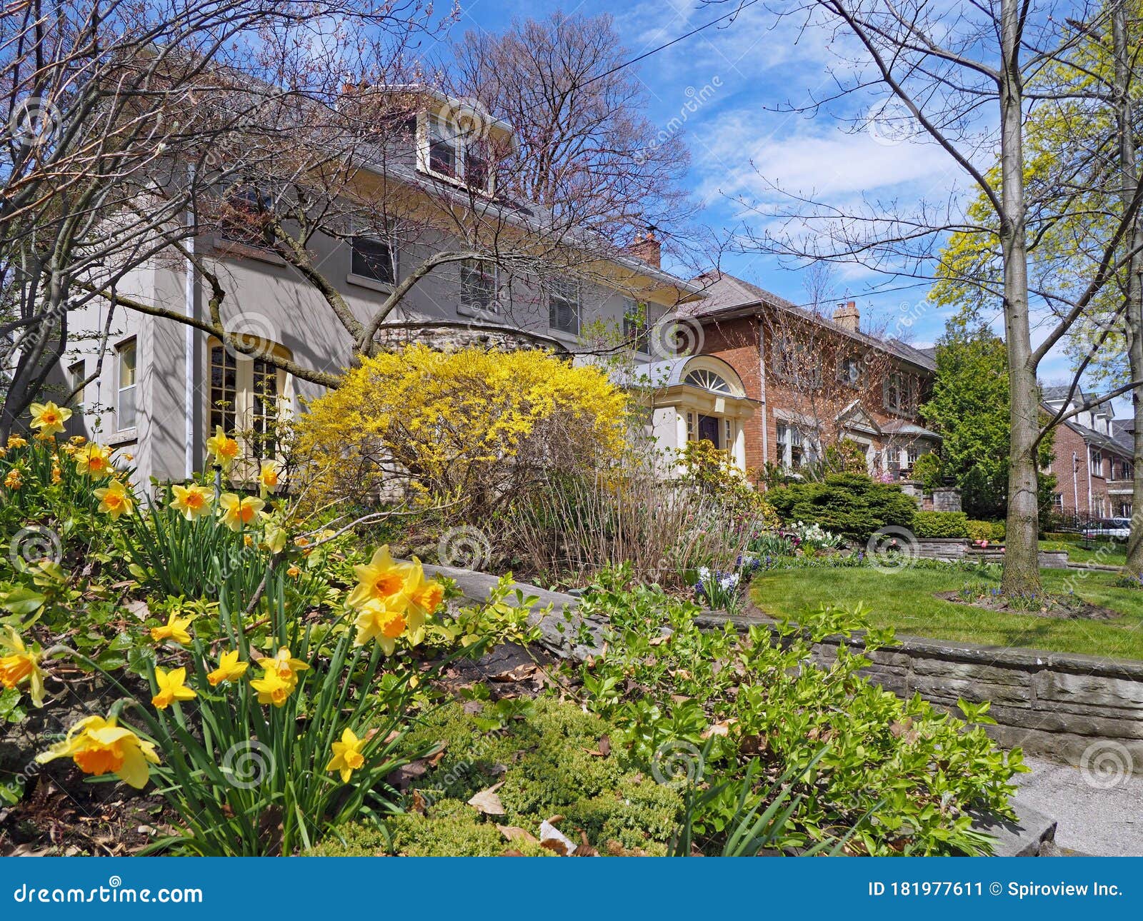Homes with Front Yards with Spring Flowers Stock Image - Image of ...