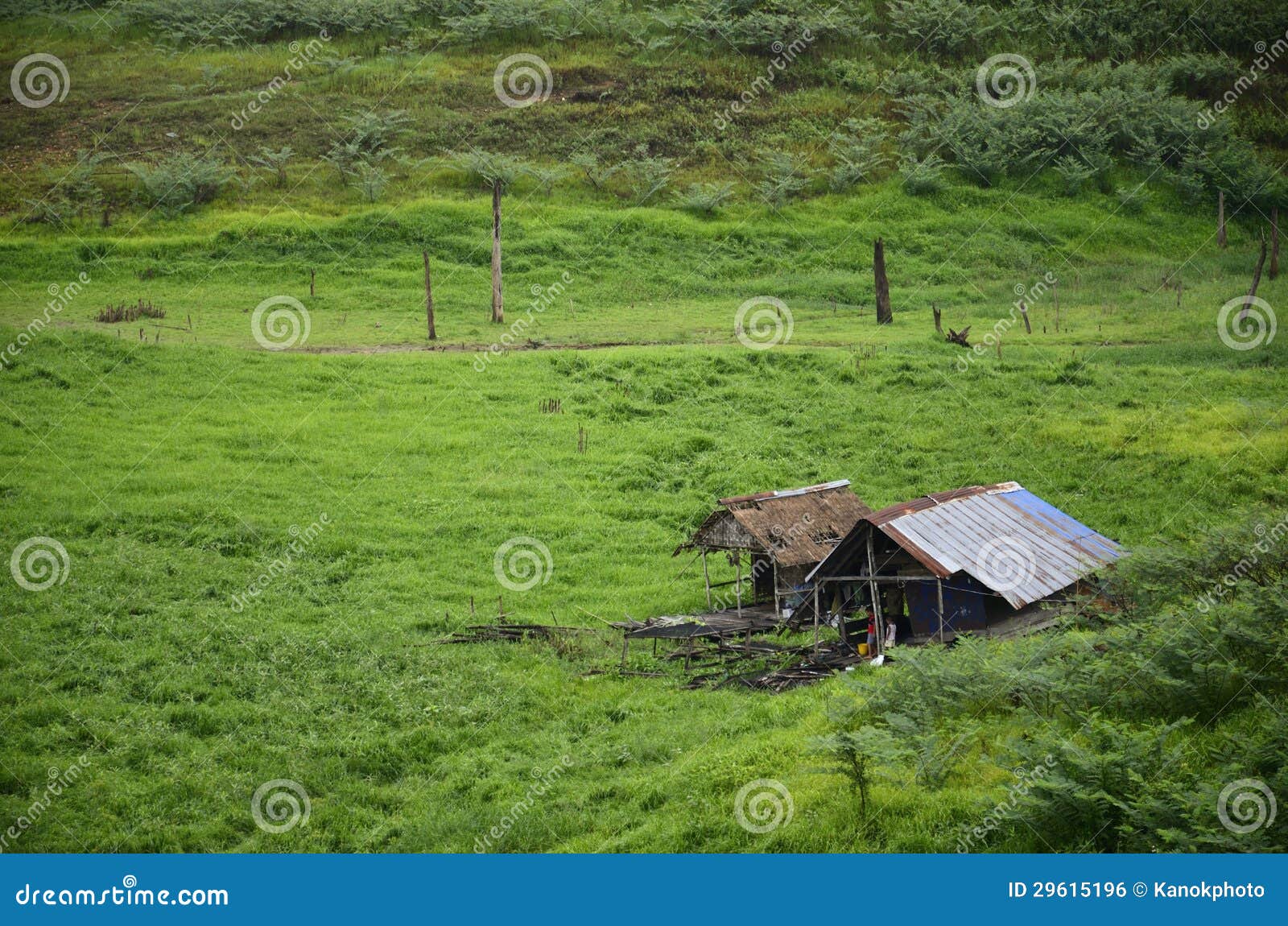 Homes in rural of Thailand stock photo. Image of asia - 29615196