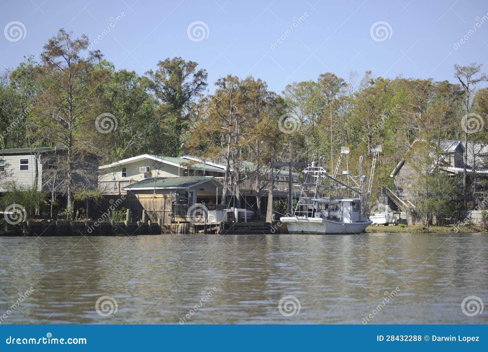 Homes in the swamp stock photo. Image of tree, water - 28432288