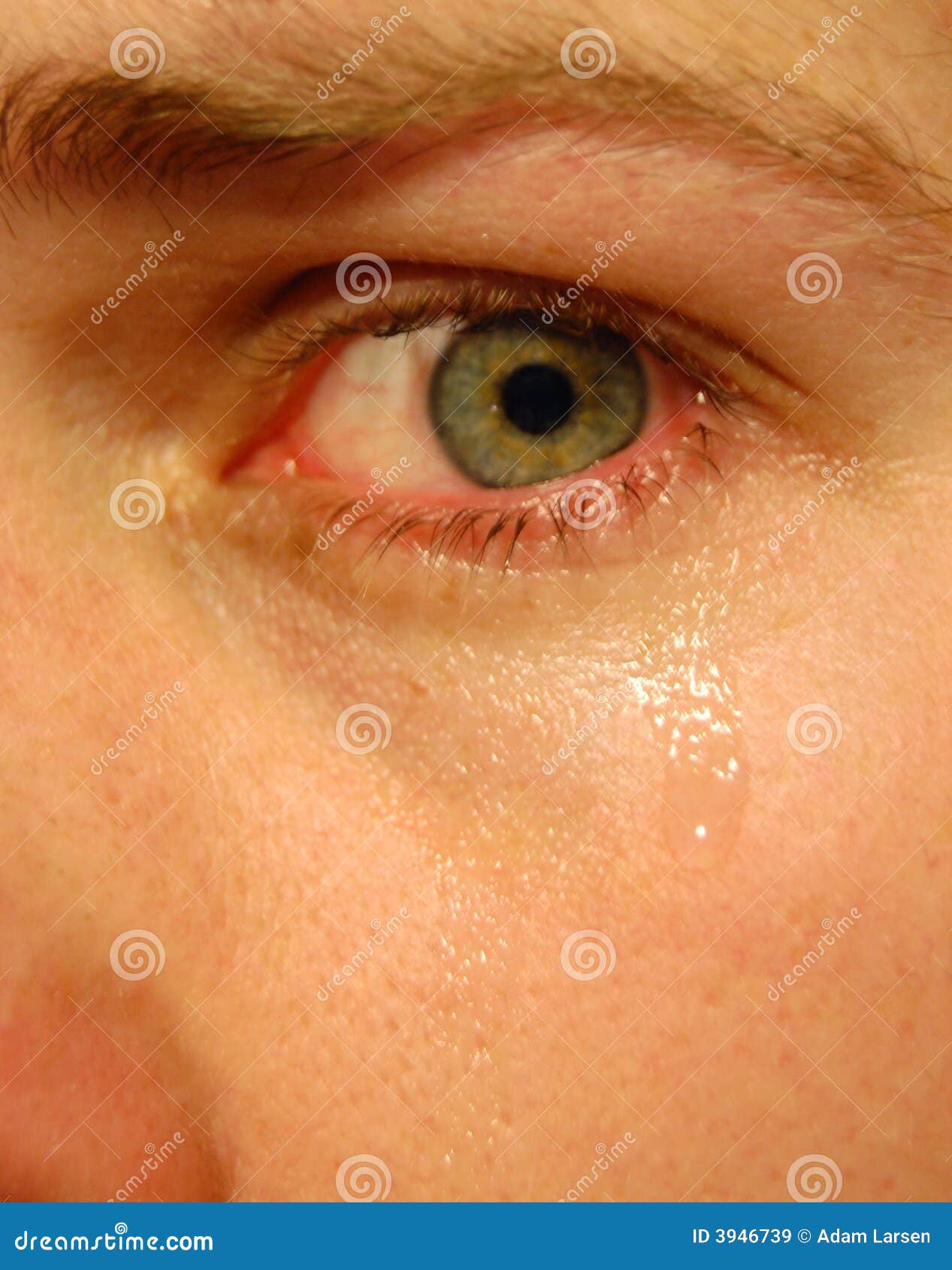 Homesick Tears stock image. Image of face, furious, close - 3946739