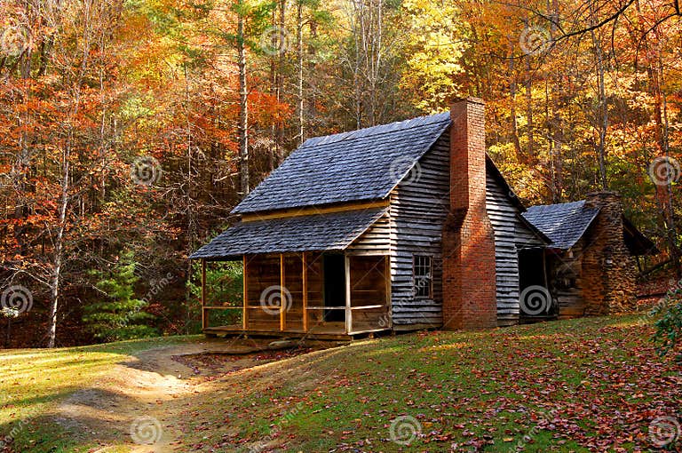 Homestead stock image. Image of home, serene, birch, peaceful - 3842483
