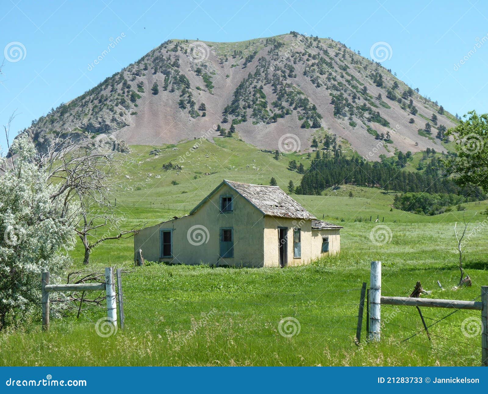 Homestead at Base of Bear Butte Stock Image - Image of meadow, building ...