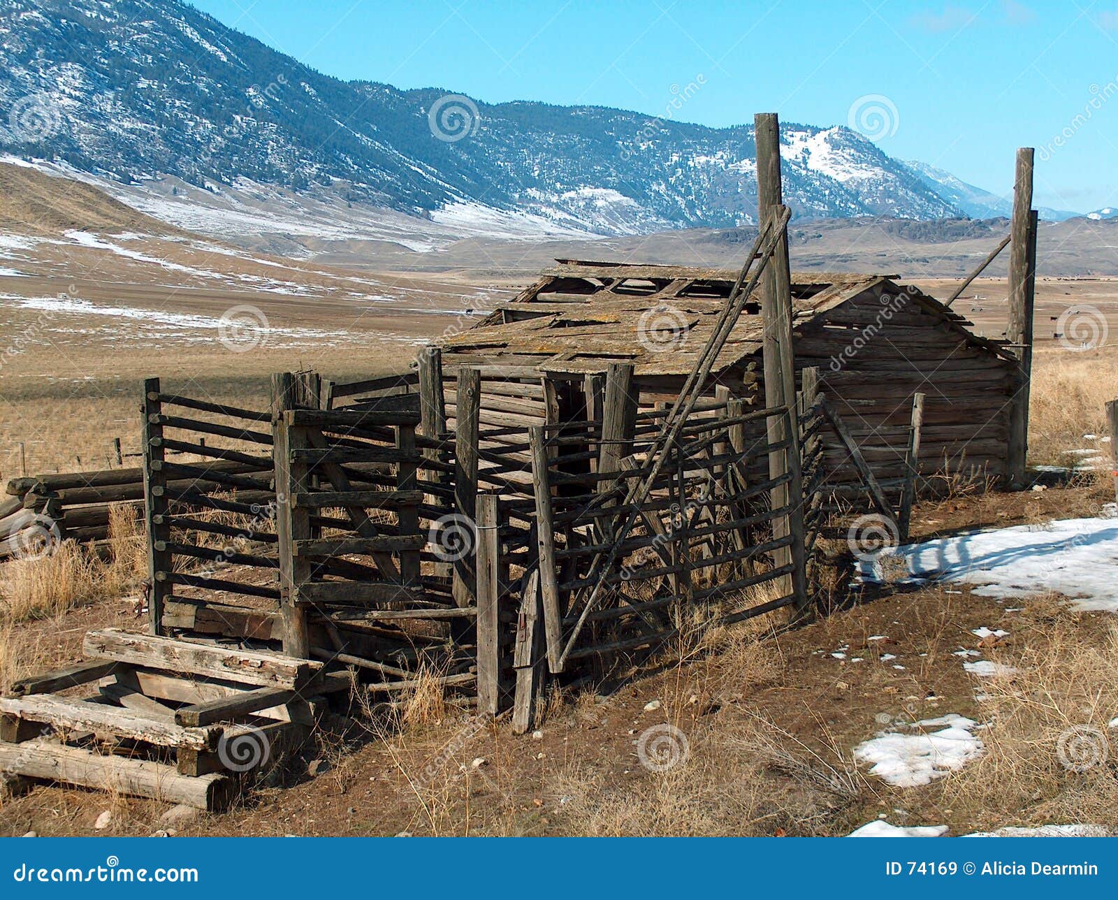 Homestead Corral stock image. Image of homestead, barn, ranching - 74169