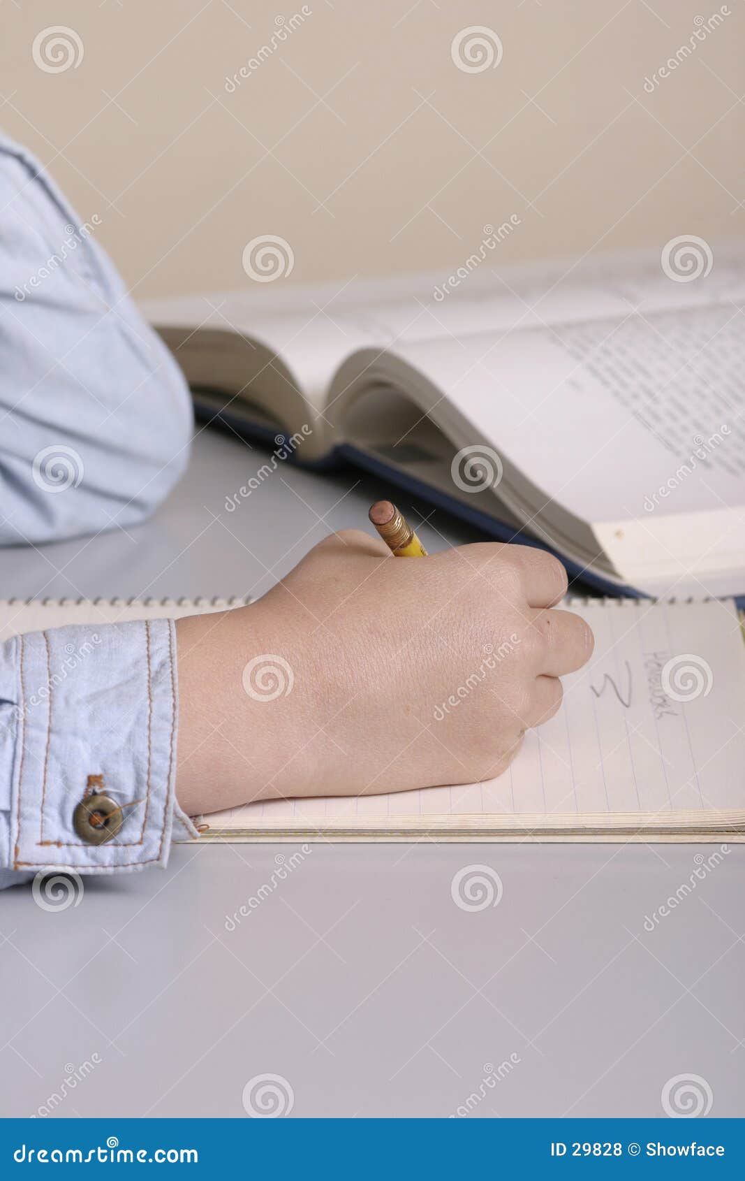 Homework stock photo. Image of pencil, education, intelligent - 29828