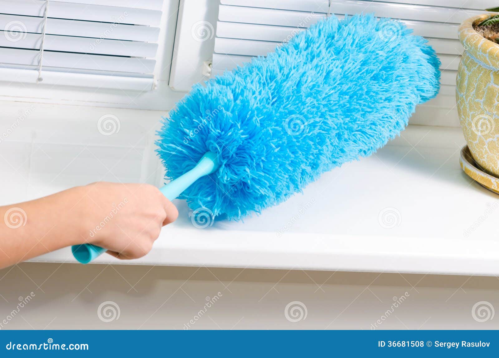 Homework clean the dust stock photo. Image of scrubbing - 36681508