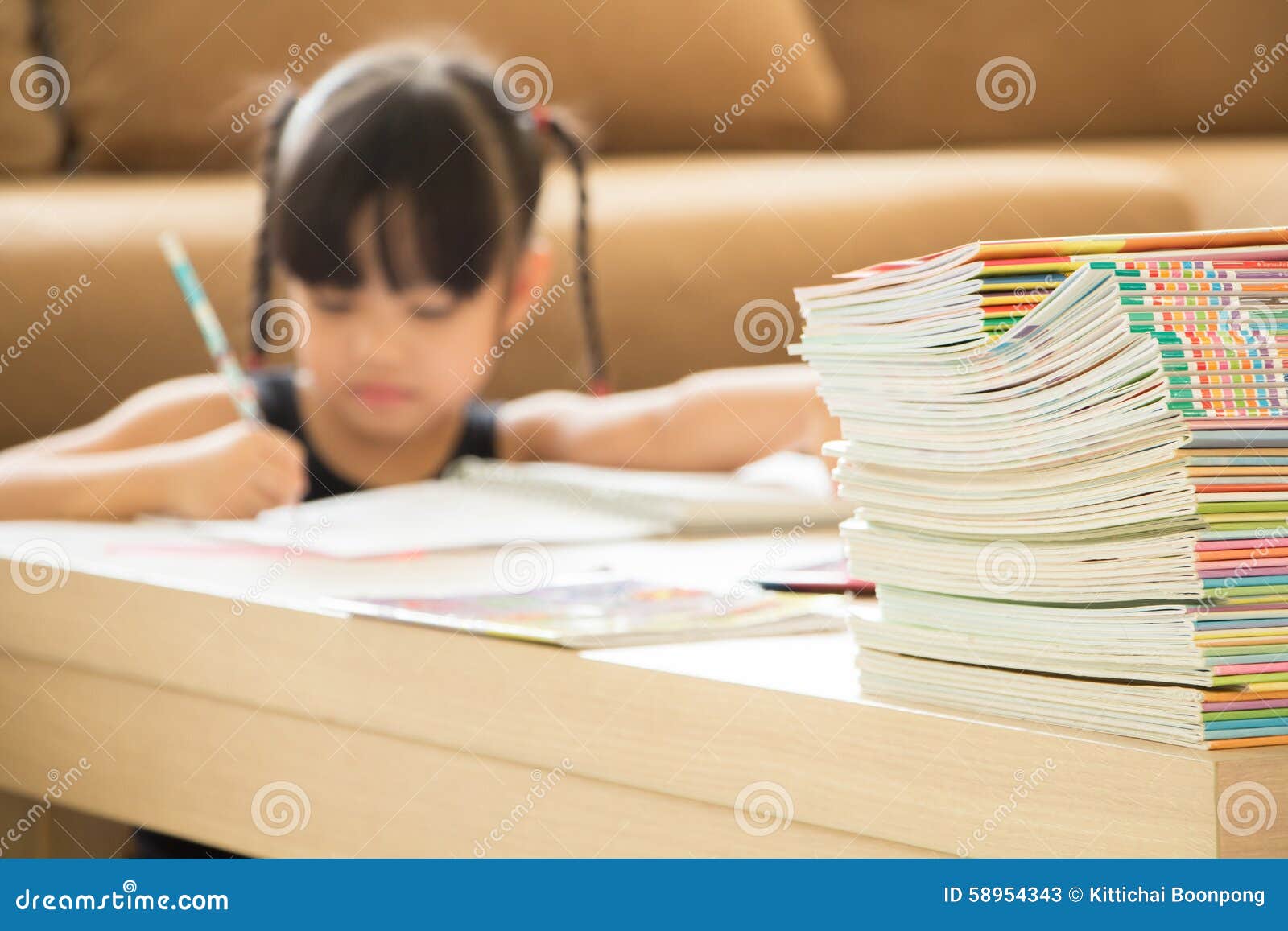 Too Much Homework Too Little Time