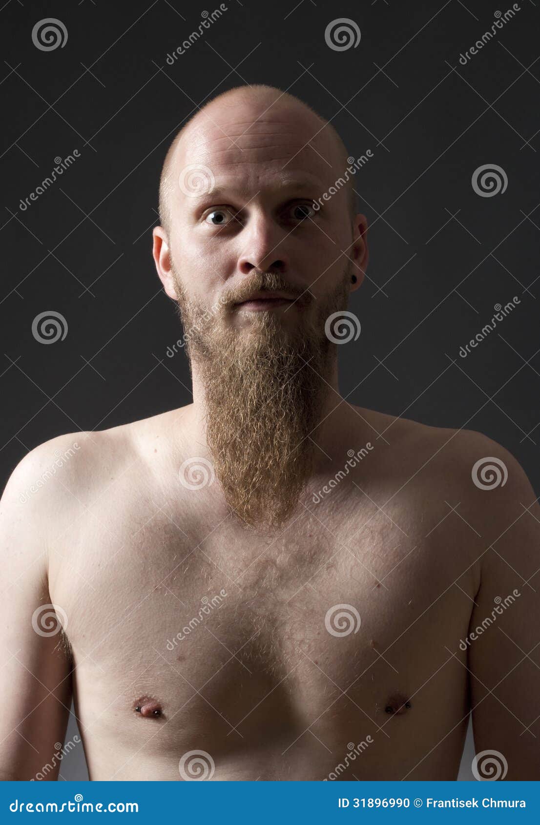 Homme Avec La Barbe De Barbichette Photo stock - Image du barbichette ...