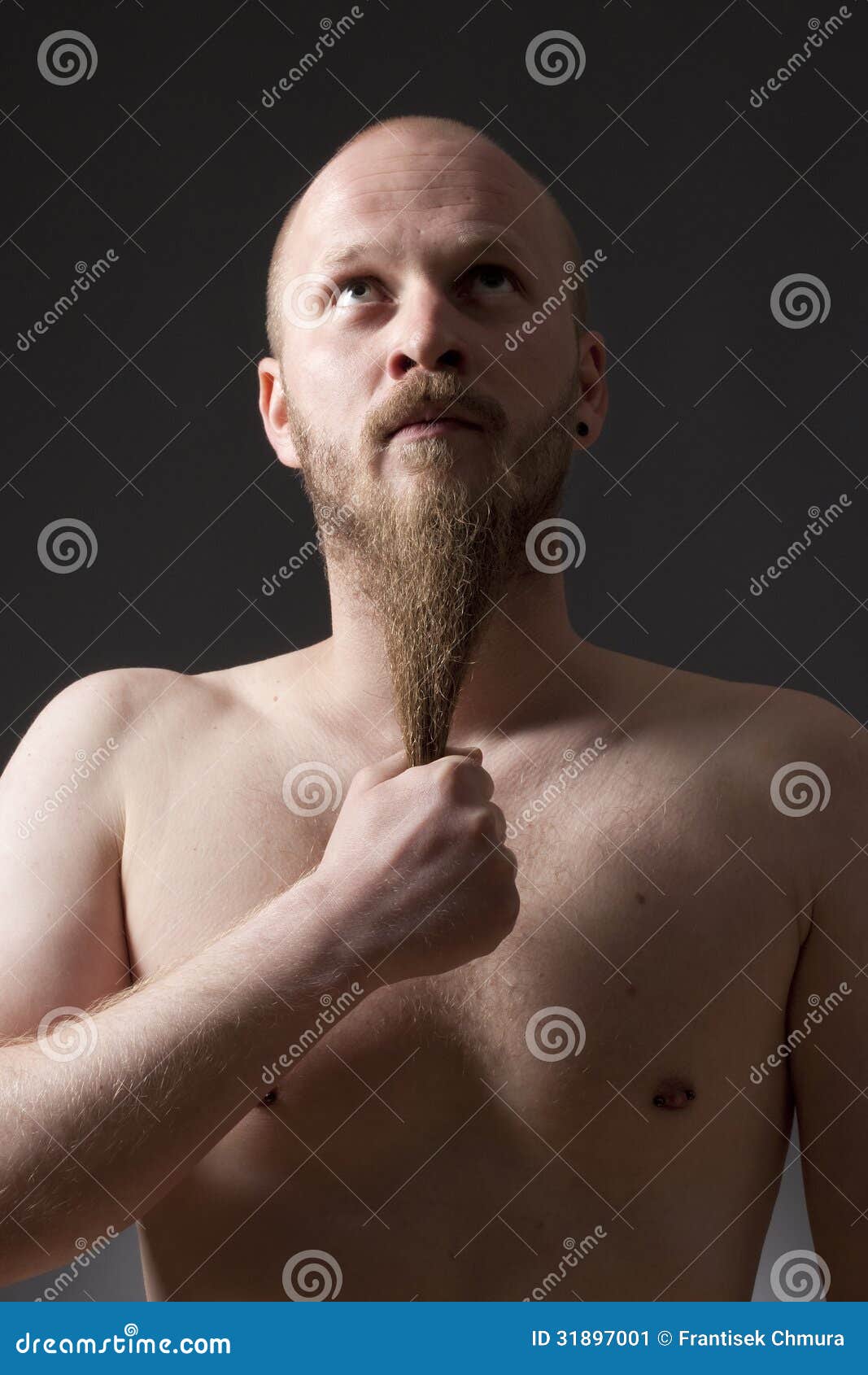 Homme Avec La Barbe De Barbichette Image stock - Image du barbe, homme ...