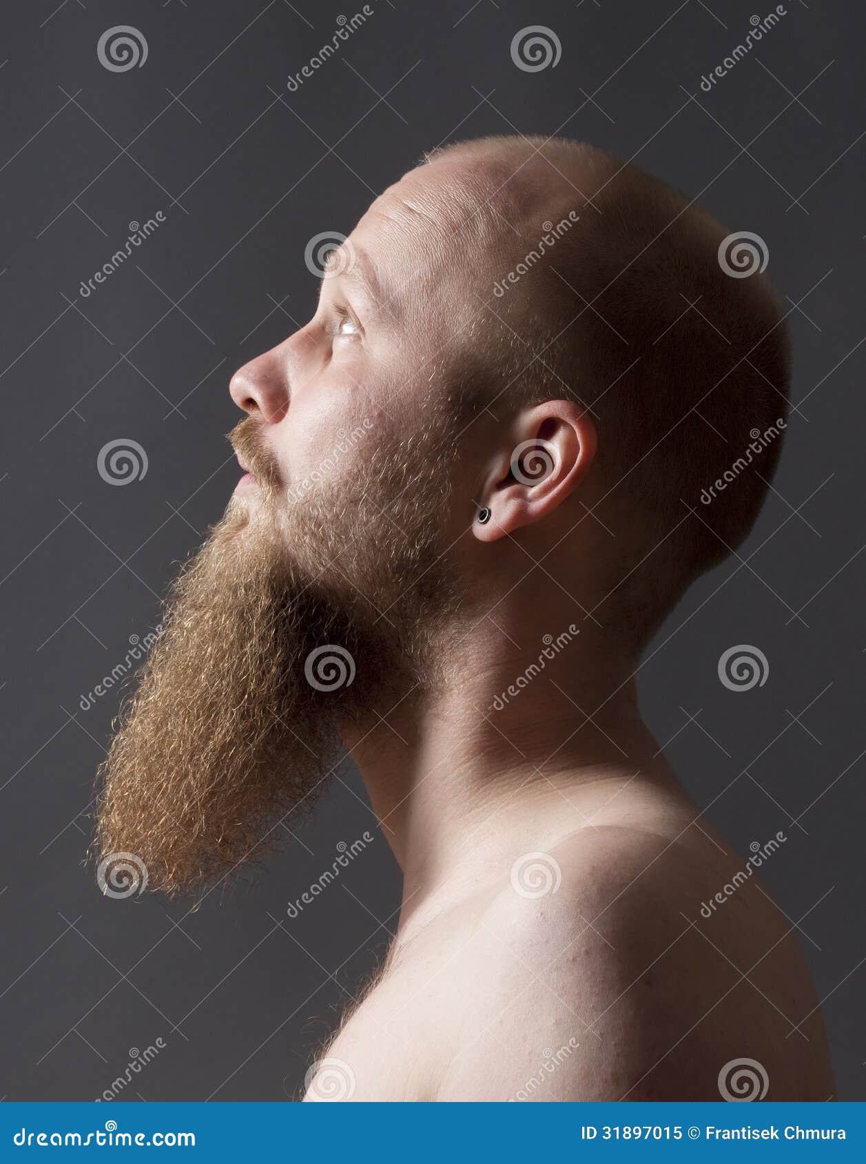 Homme Avec La Barbe De Barbichette Image stock - Image du individualité ...