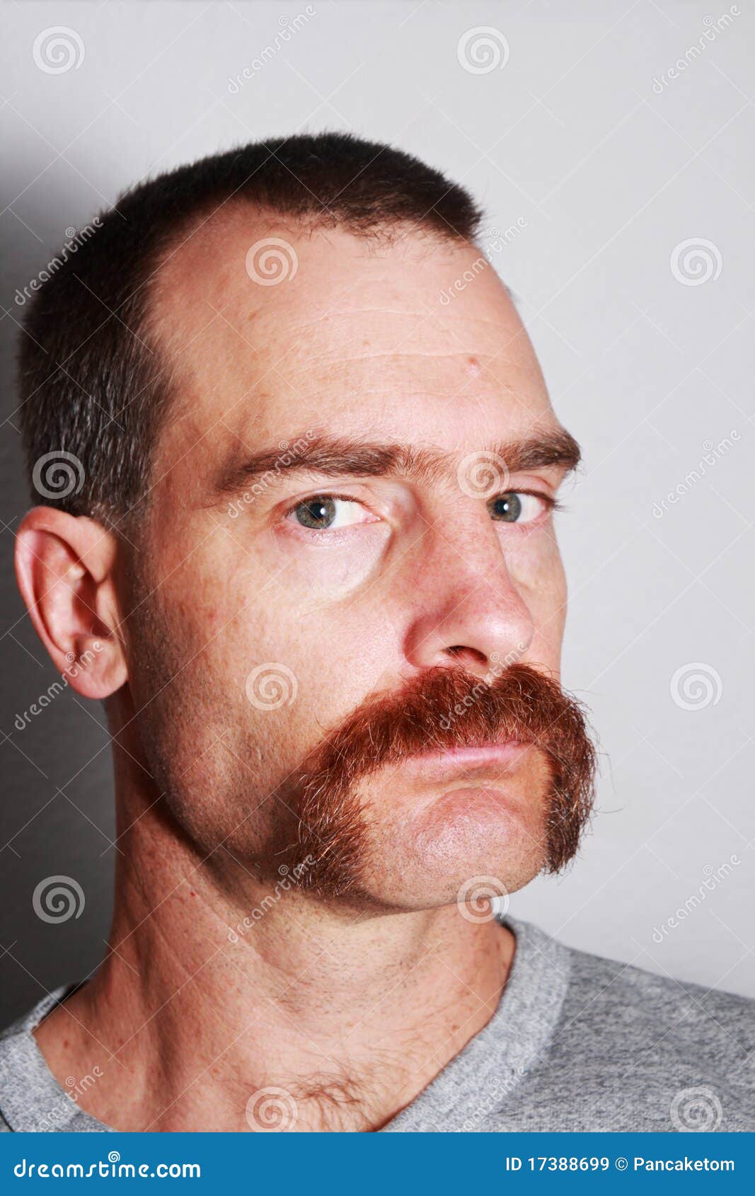 Homme Avec La Verticale De Moustache Image stock - Image du adulte ...