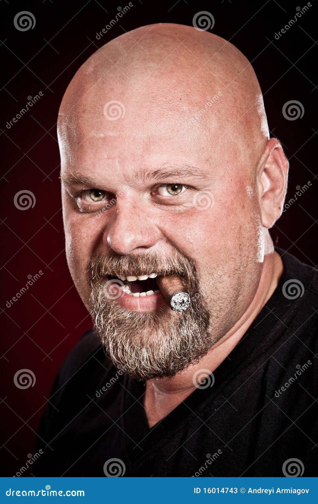 Homme chauve image stock. Image du fumée, adulte, chauve - 16014743