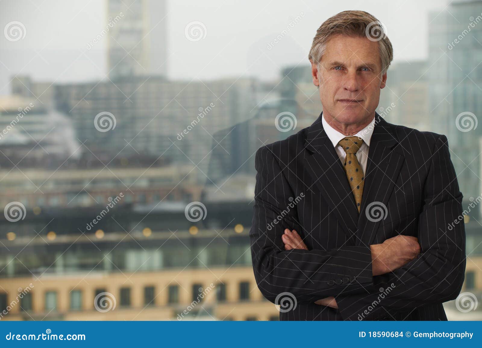 Homme d'affaires photo stock. Image du bossage, travail - 18590684