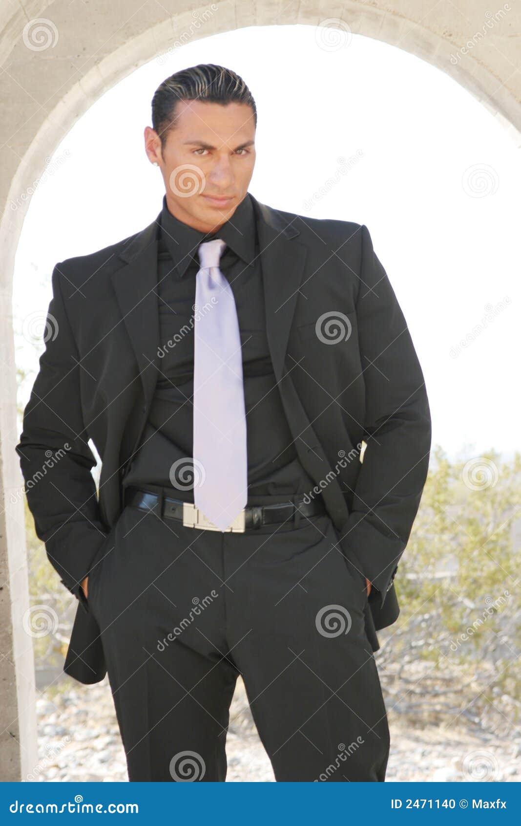 Homme d'affaires confiant photo stock. Image du type, réussi - 2471140