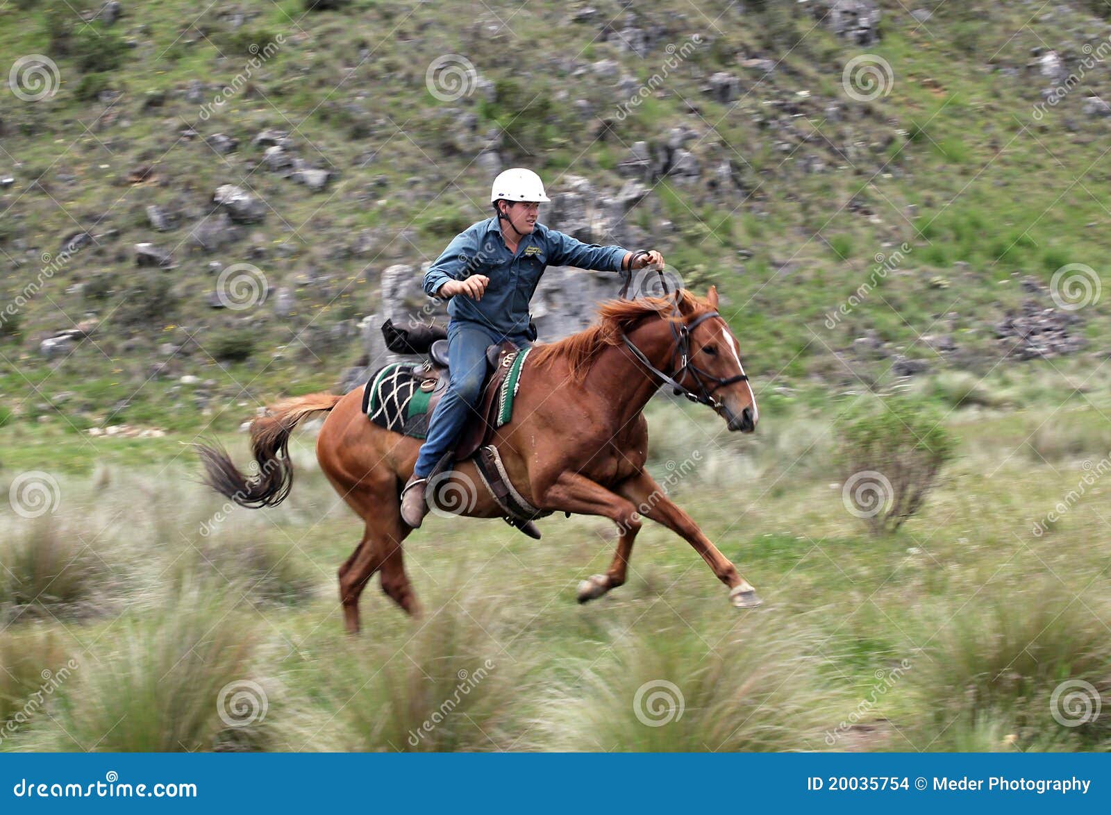 Homme et cheval photo stock. Image du ferme, beau, australie - 20035754