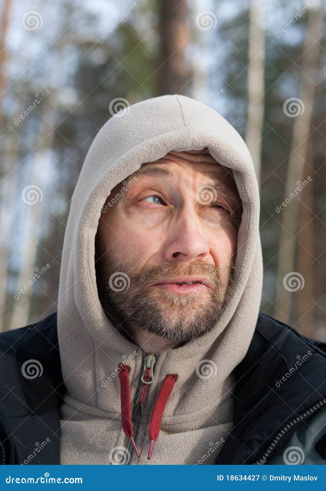 Homme sceptique image stock. Image du forêt, hommes, jour - 18634427