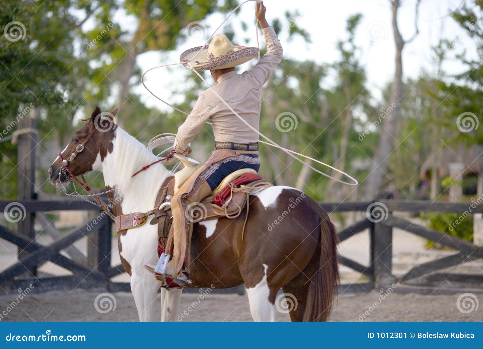 Homme Sur Le Dos De Cheval Image. Image: 1012301