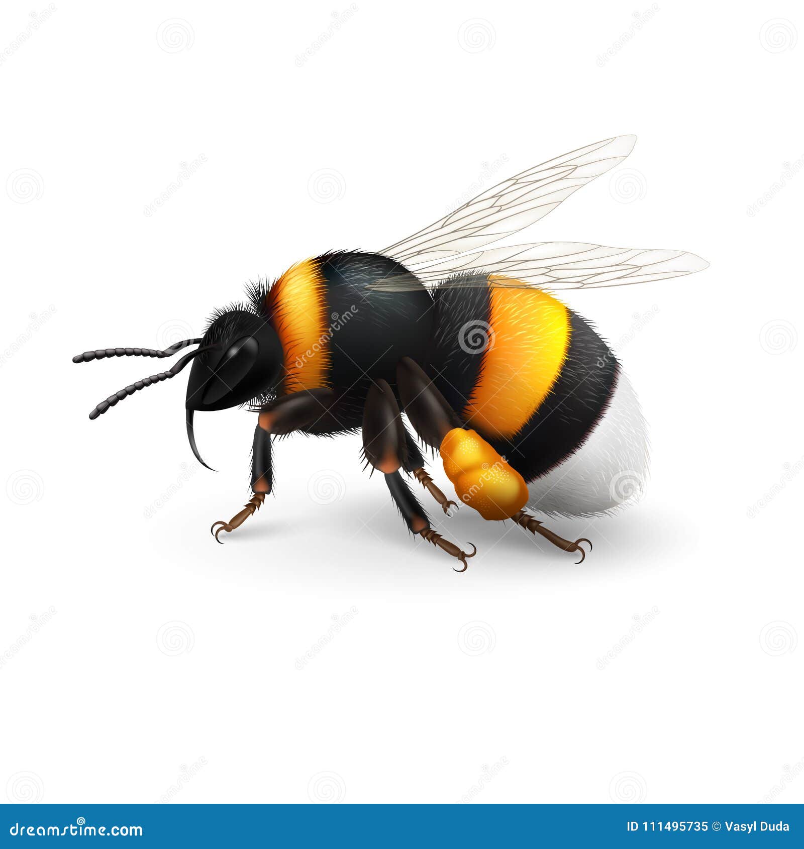 Hommel vector illustratie. Illustration of honingraat - 111495735