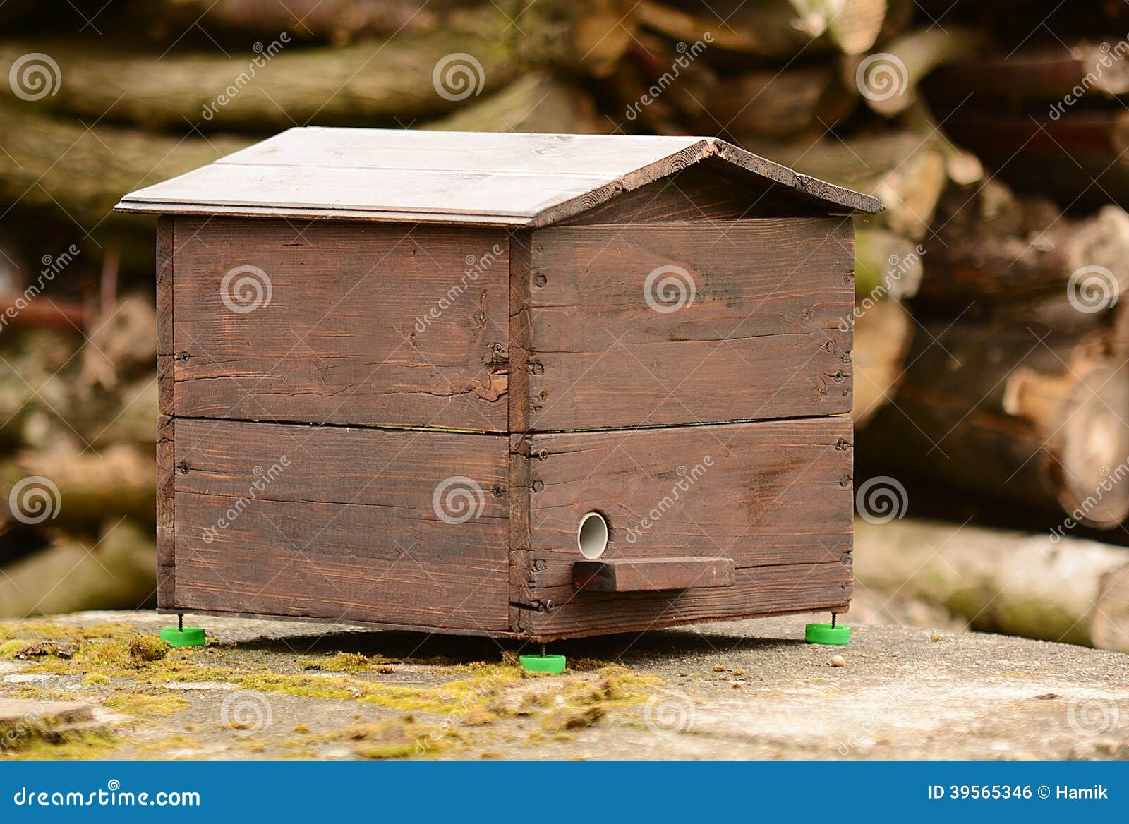 Hommelnest stock foto. Image of ecologie, levensonderhoud - 39565346