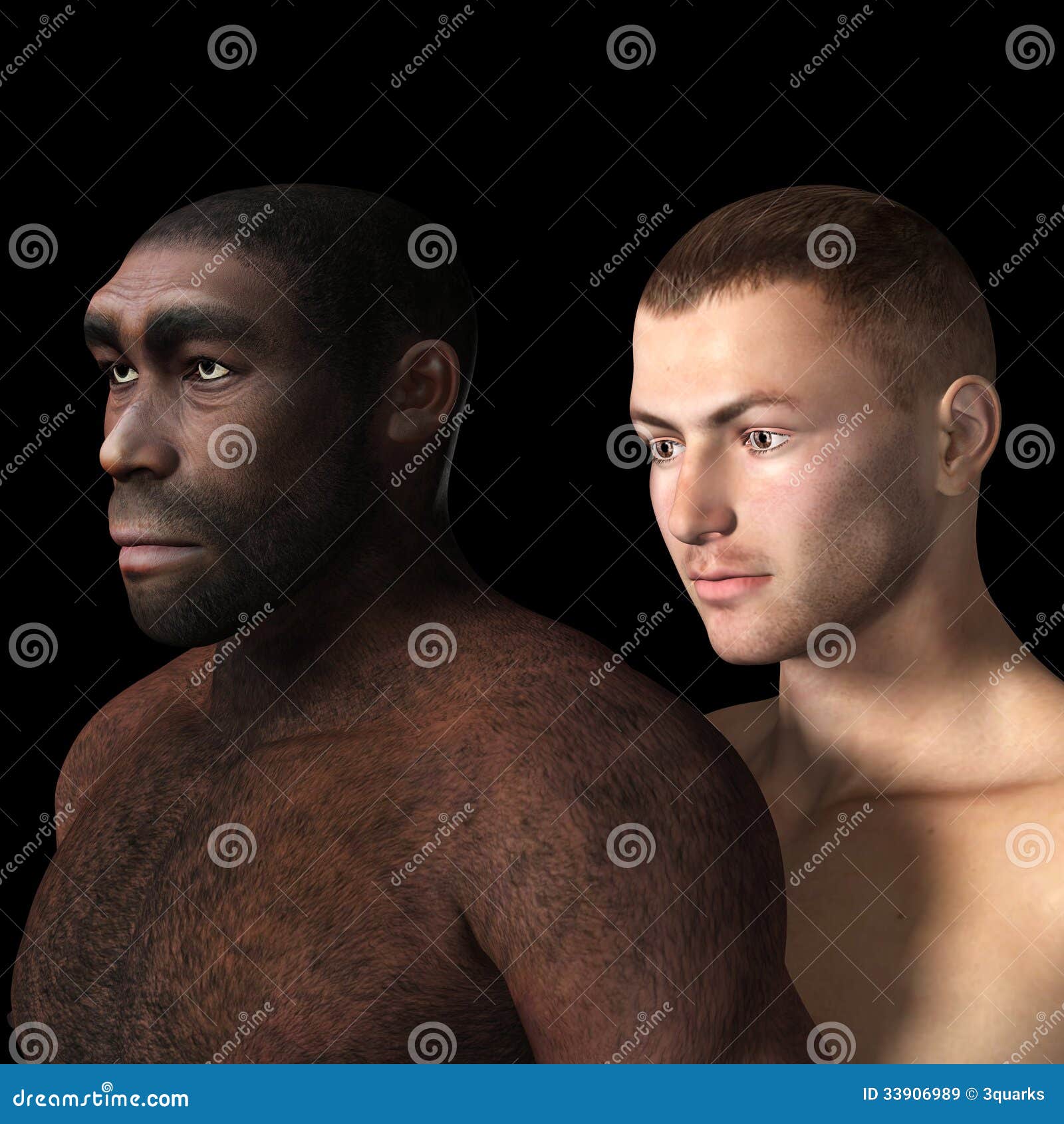 Homo erectus illustration stock. Illustration du noir - 33906989