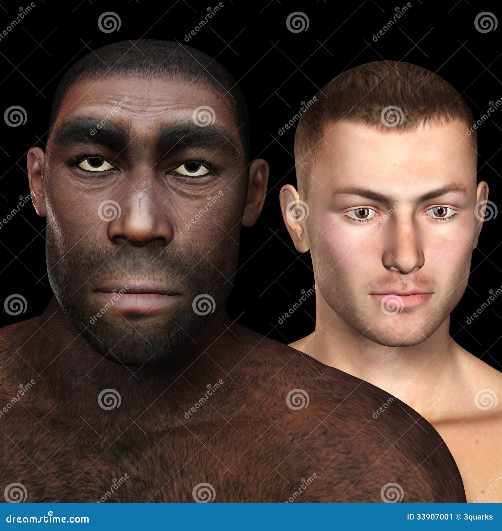 Erectus Royalty-Free Stock Photography | CartoonDealer.com #33907001