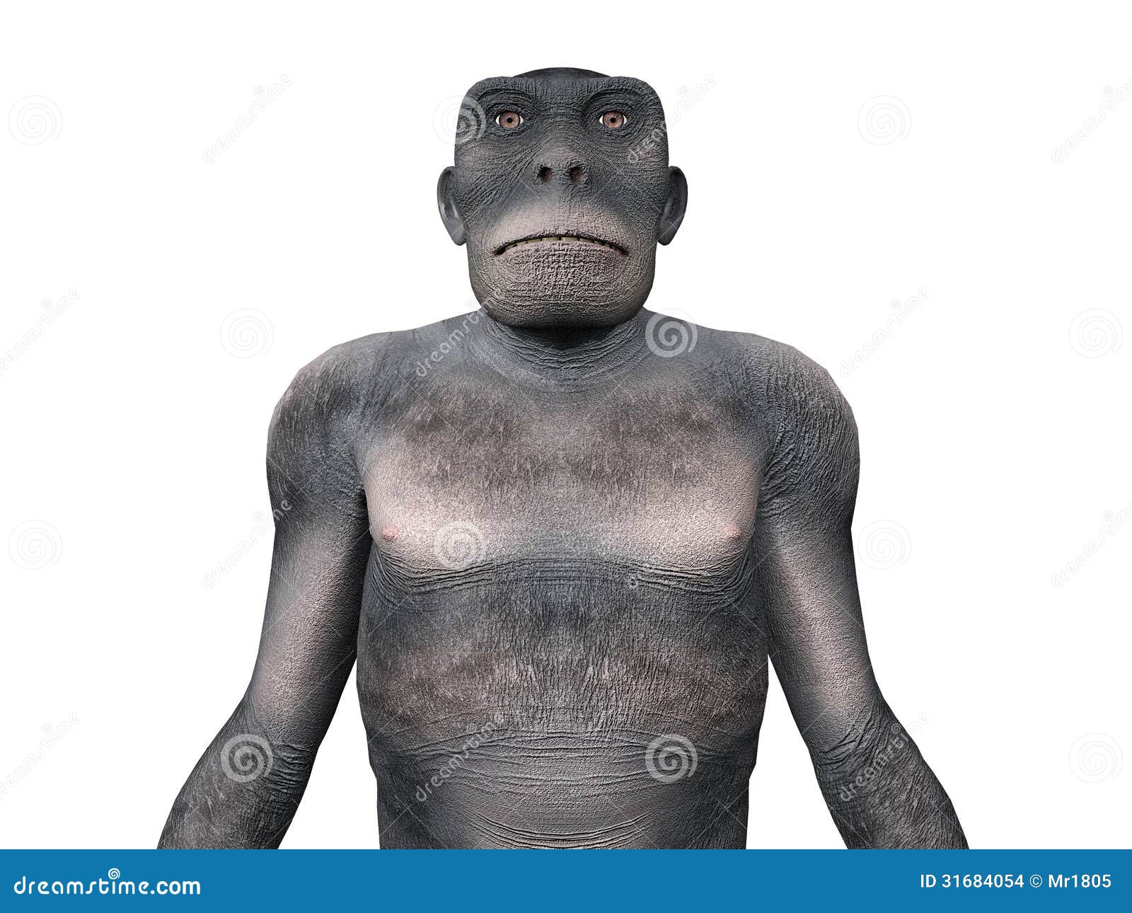 Habilis - Human Evolution Stock Images - Image: 31684054