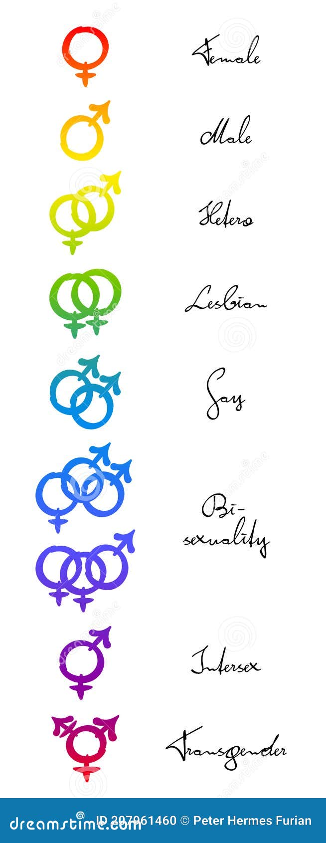 Hetero Bi Gay Lesbian Transgender Intersex Lgbt Symbols Stock Vector