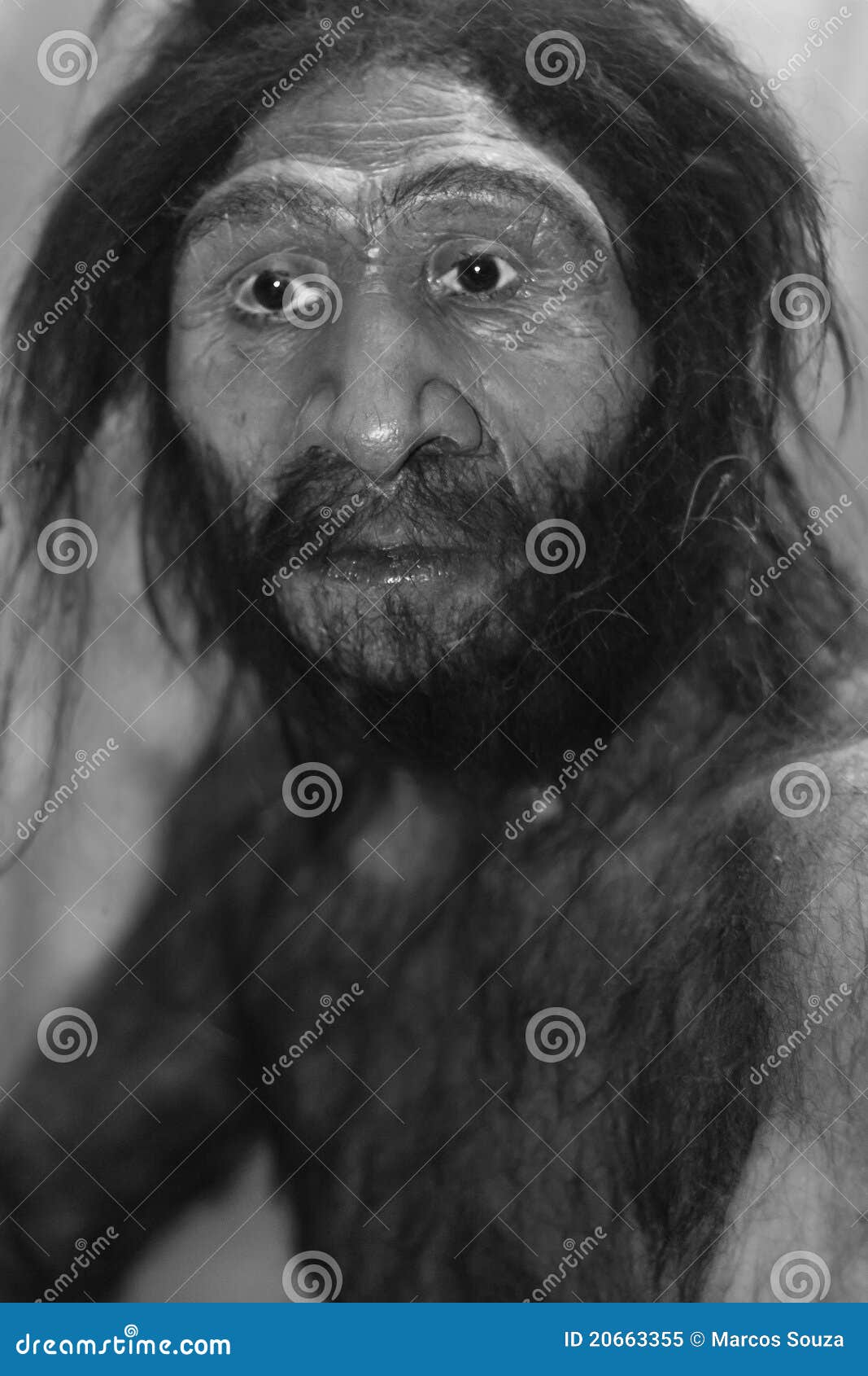 Sapiens editorial image. Image of evolve, extinct, ancestor - 20663355