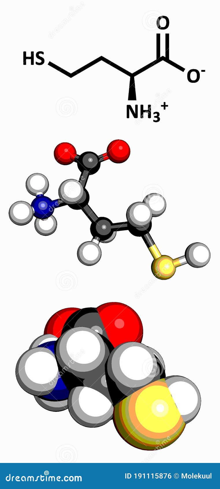 Homocysteine Molecule 3d, Molecular Structure, Ball And Stick Model ...