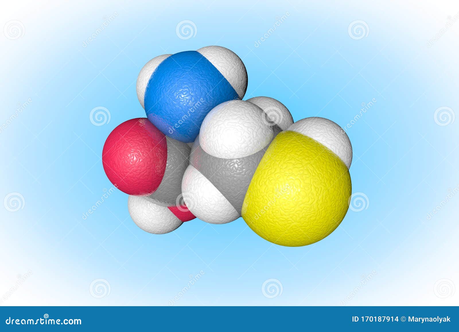 Homocysteine Molecule. Atoms are Represented As Spheres with ...