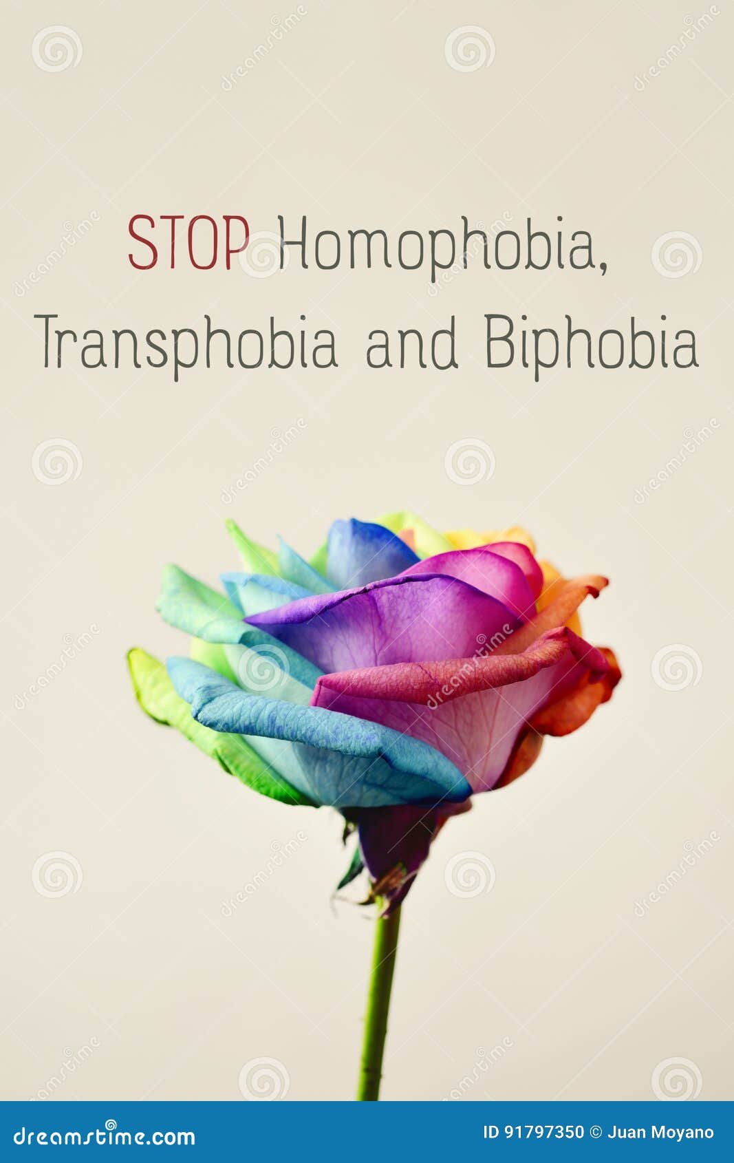 Biphobia Fotos - Fotos de Stock Gratuitas e Fotos Royalty-Free Dreamstime