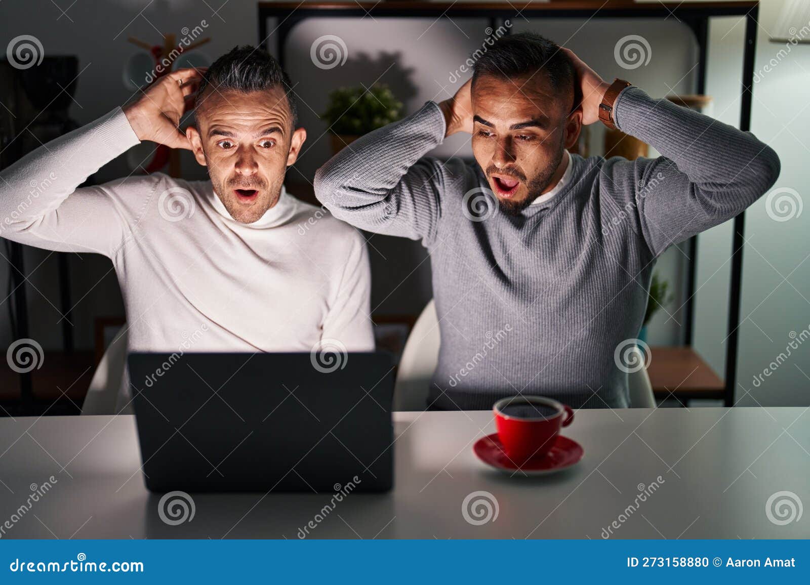 Homosexual Couple Using Computer Laptop Crazy and Scared with Hands on ...