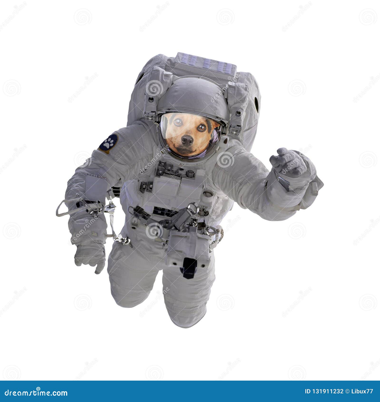 Hond Als Geïsoleerde Astronaut of Ruimtevaarder Stock Foto - Image of ...
